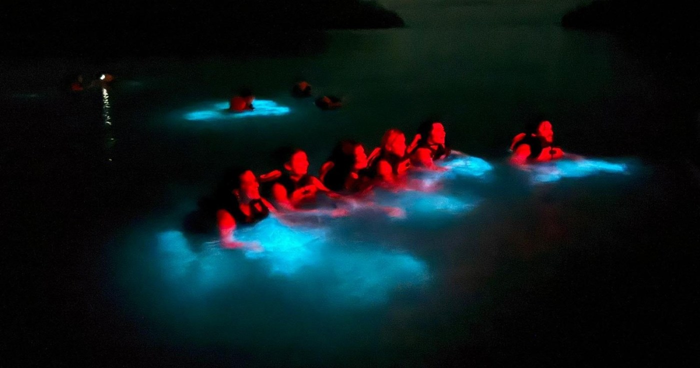Bioluminescent Swimming Adventure | Bio Bay Parguera